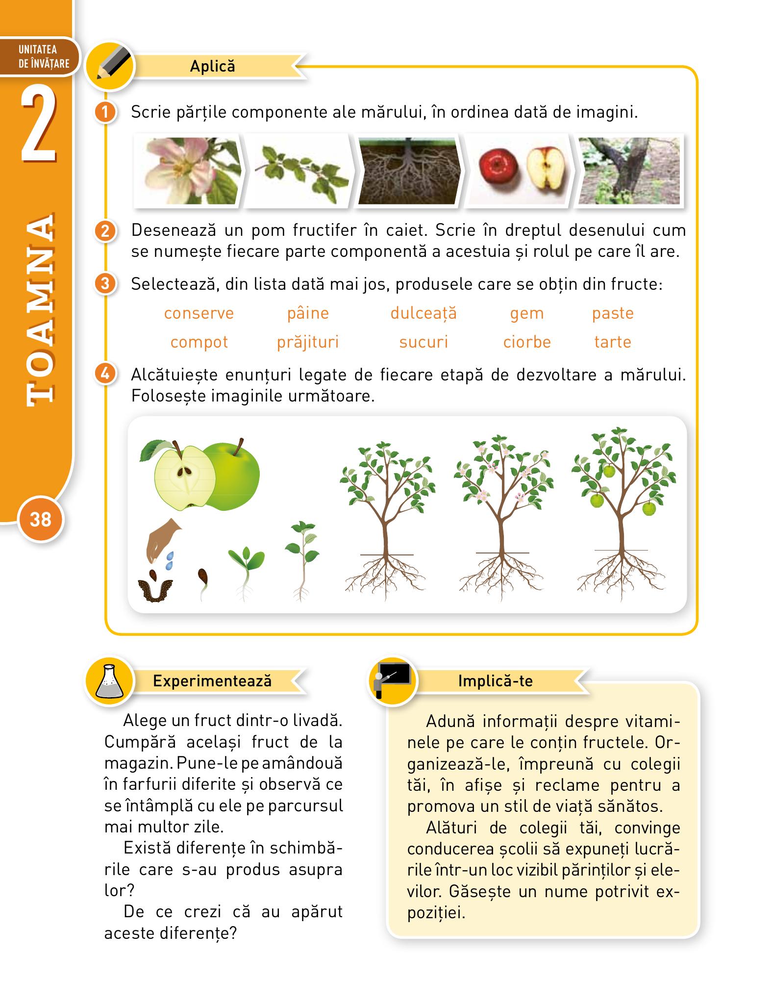 Științe. Clasa 2, Modul 1-4 (Vara, Toamna, Iarna, Primăvara)